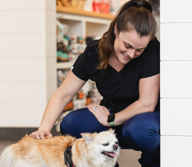 Veterinary Careers - Rarebreed Veterinary Partners